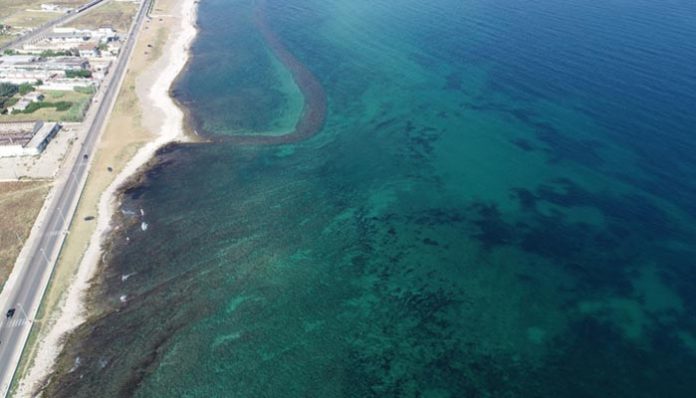 Bari, nuovo divieto di balneazione a Torre Quetta: ancora sversamenti ...
